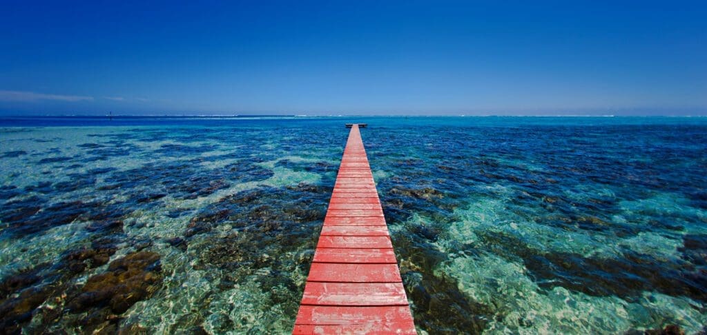 Tropic Dream - Bret Webster Images