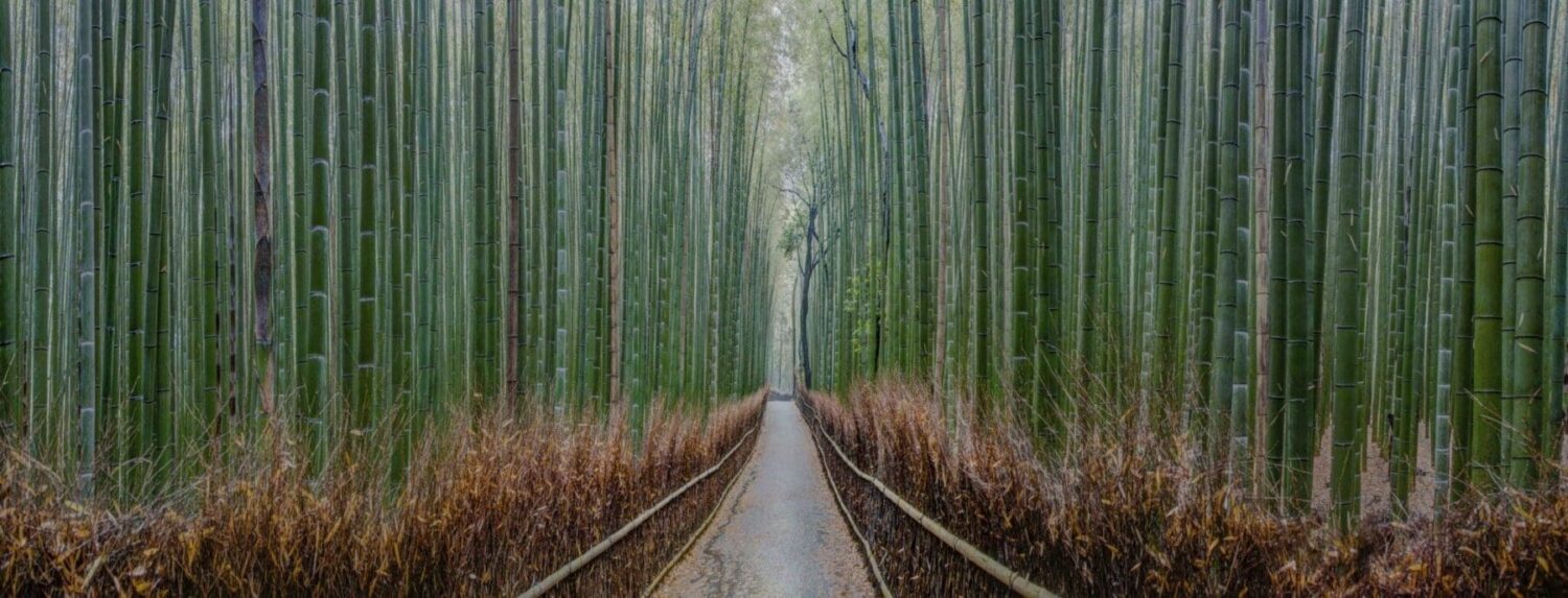 Zen Path - Bret Webster Images