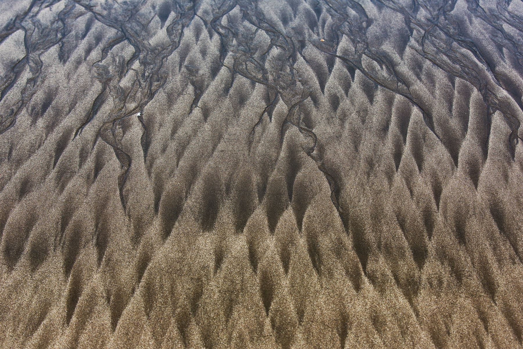 Costa Rican Beach Patterns - Bret Webster Images