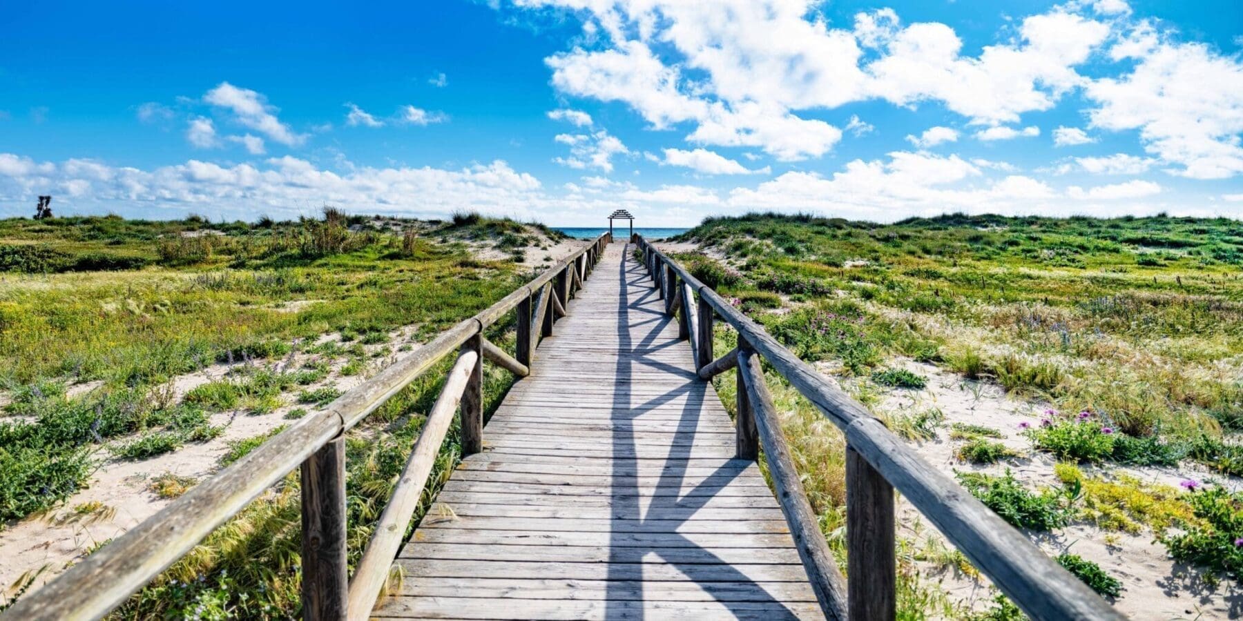 Ocean Entry - Bret Webster Images