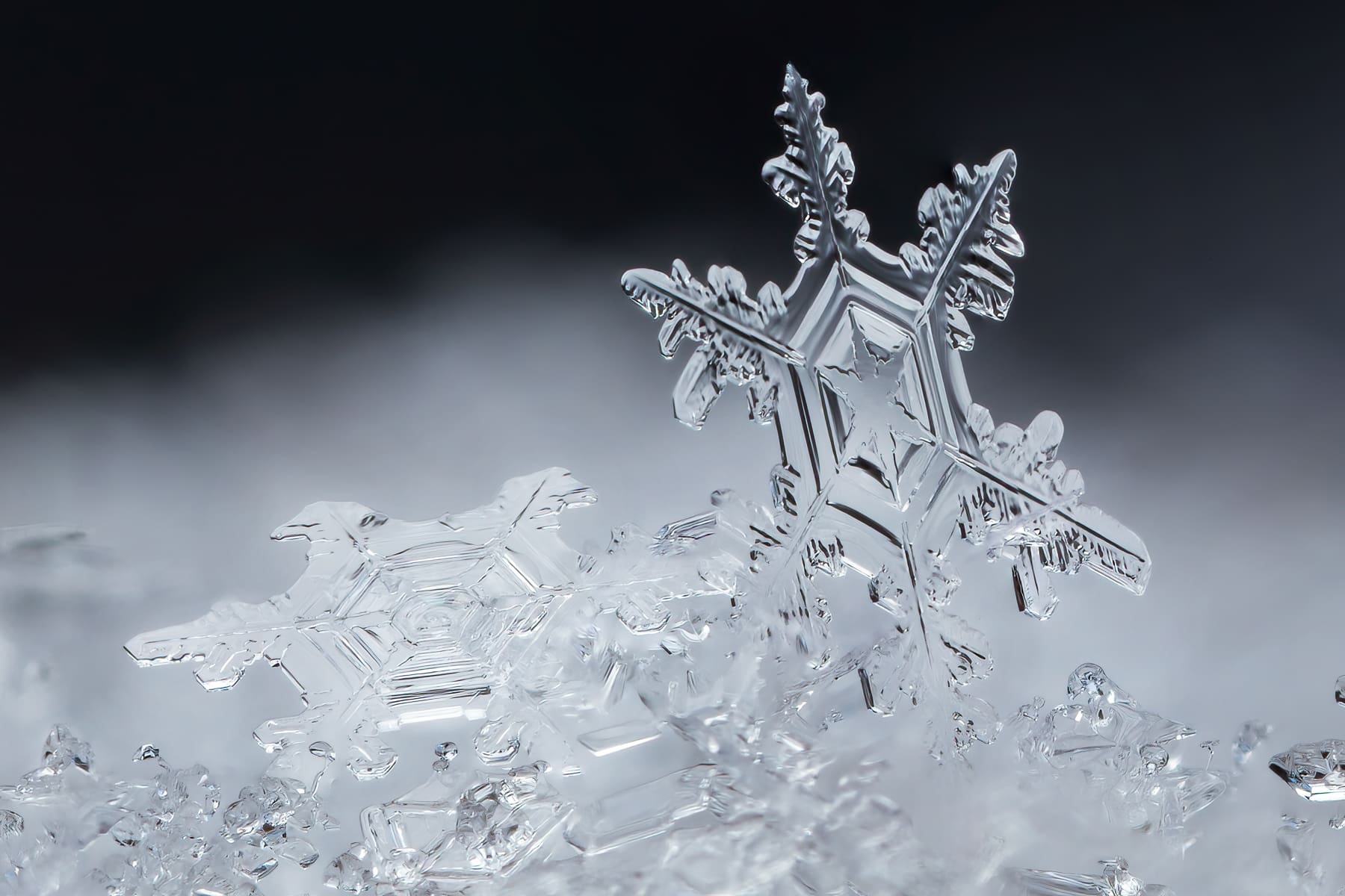 Snow Gems Horizontal 1.5 - Bret Webster Images