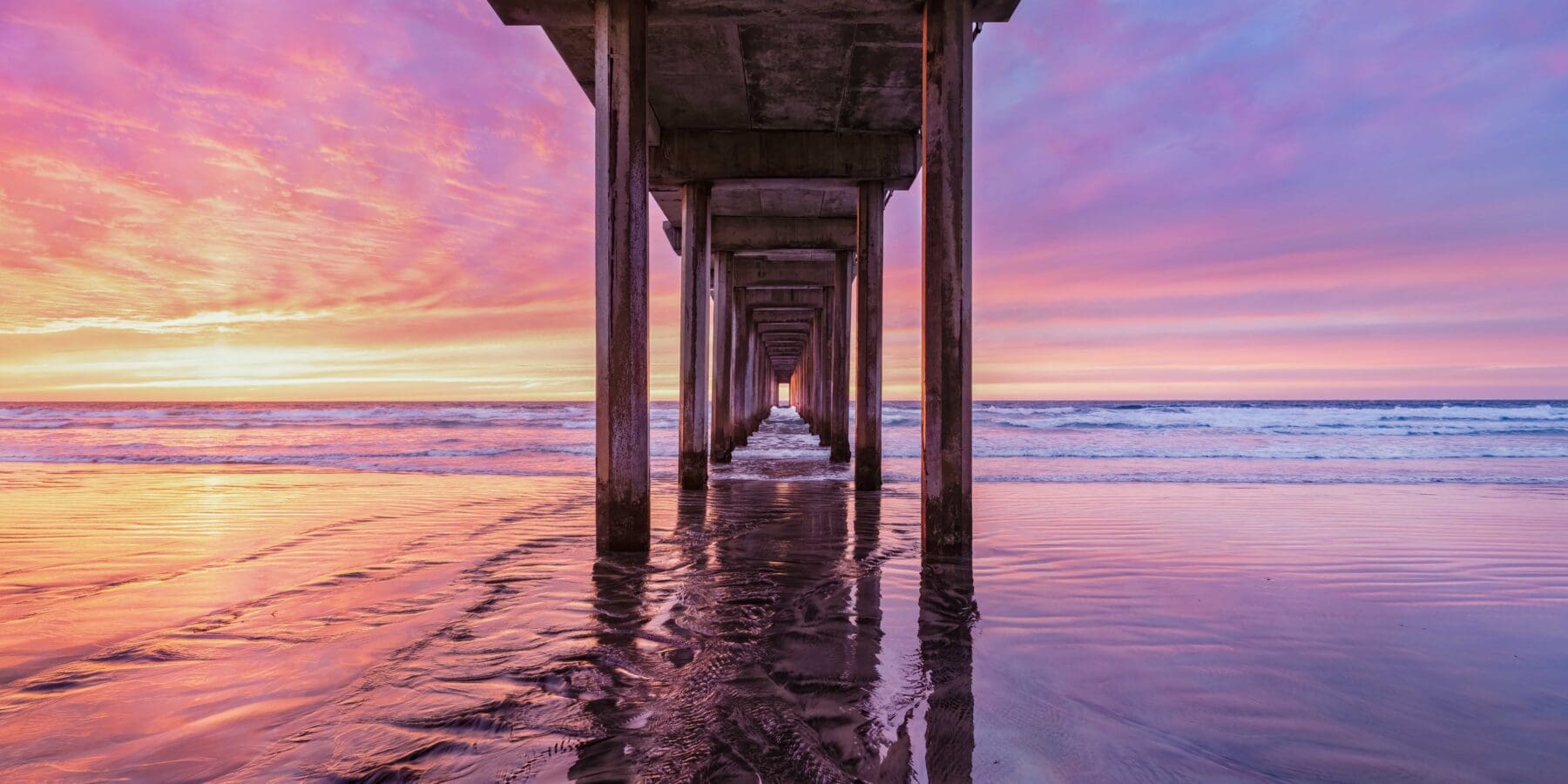 Highlights Archives - Bret Webster Images